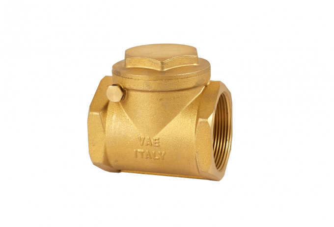 Rustproof One Way Water Check Valve 32mm 22mm Non Return Valve