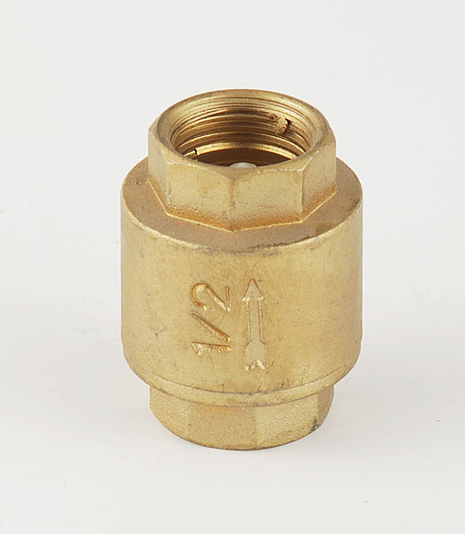 Rustproof One Way Water Check Valve 32mm 22mm Non Return Valve