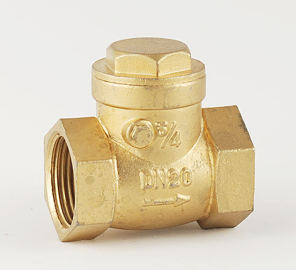 Rustproof One Way Water Check Valve 32mm 22mm Non Return Valve